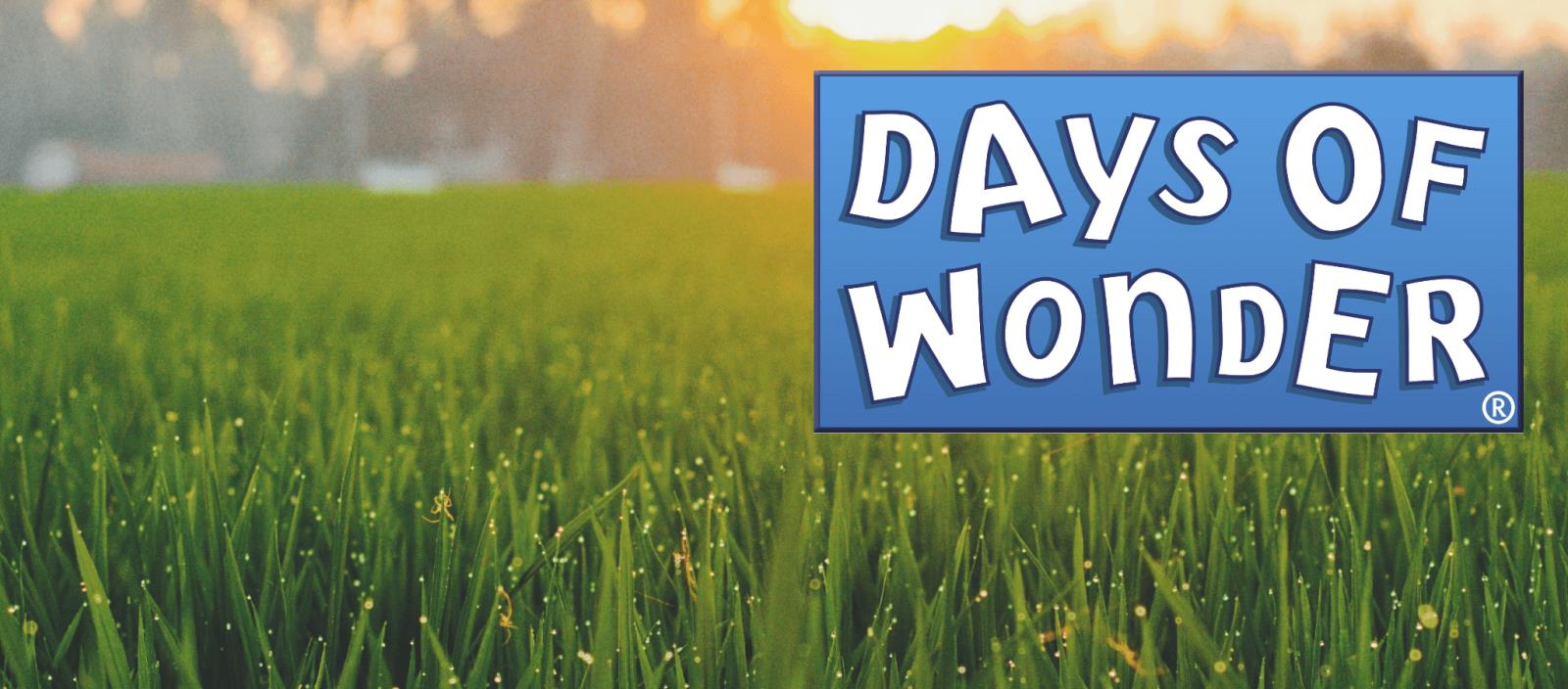 Days of Wonder - Noble Knight Games