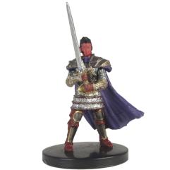 Human Paladin of the Oath of Vengeance - DND Waterdeep Mini 28mm ...