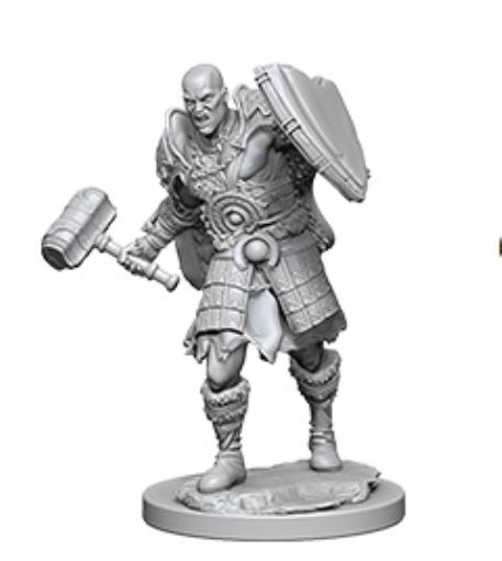 WizKids D&D Mini 28mm Goliath Male Fighter Pack New | eBay
